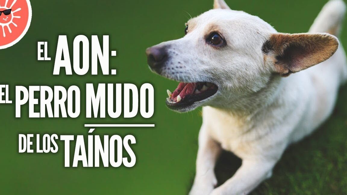 Descubriendo la verdad: ¿Por qué los perros machos tienen pezones?