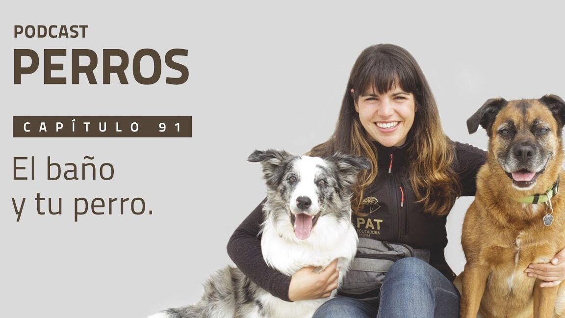 La guía definitiva sobre cómo lavarle la boca a los perros: Tips y ...