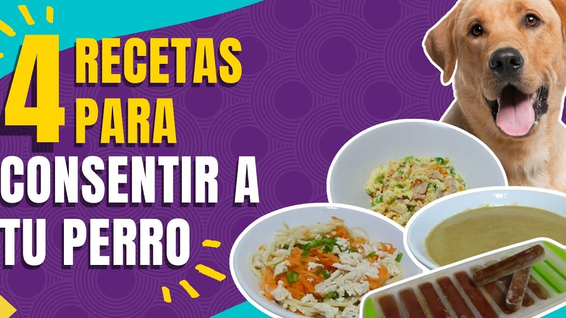 Deliciosas Recetas de Comida Casera para Consentir a tu Perro